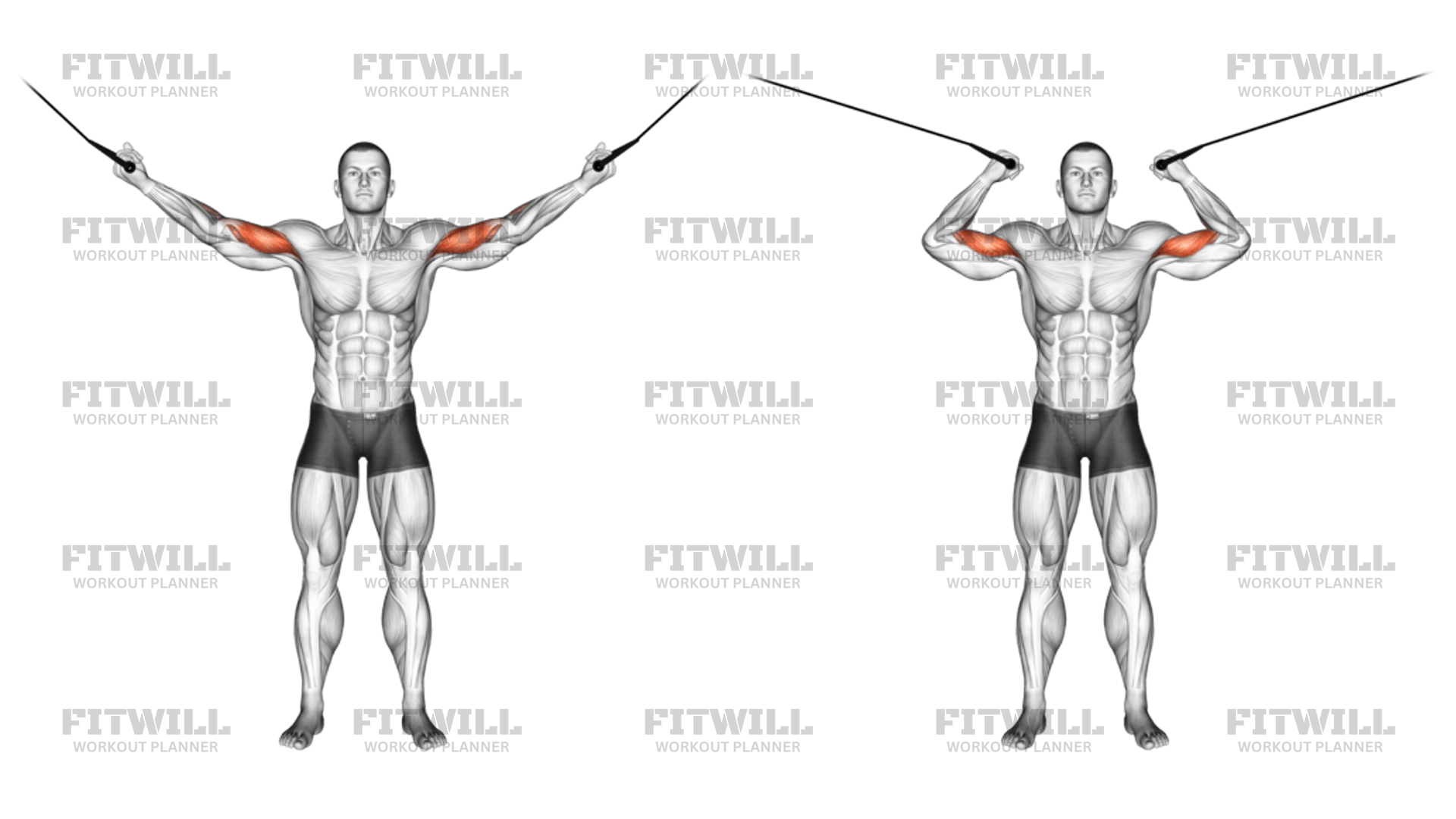 Cable Overhead Curl Exercise Guide Video Techniques Benefits How To Muscles Worked Tips