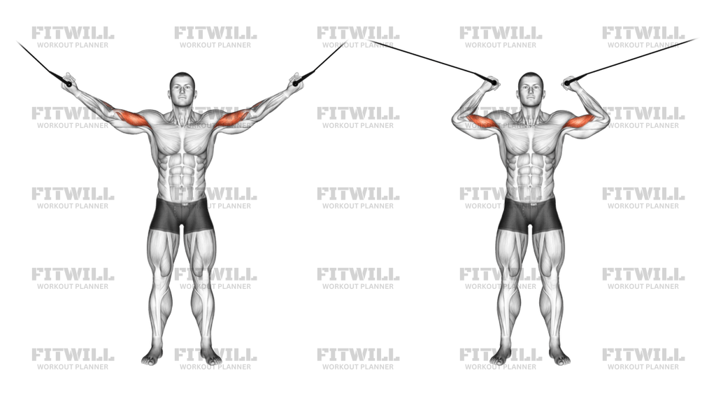 Cable Overhead Curl: Exercise Guide, Video, Techniques, Benefits, How to, Muscles Worked, Tips ...