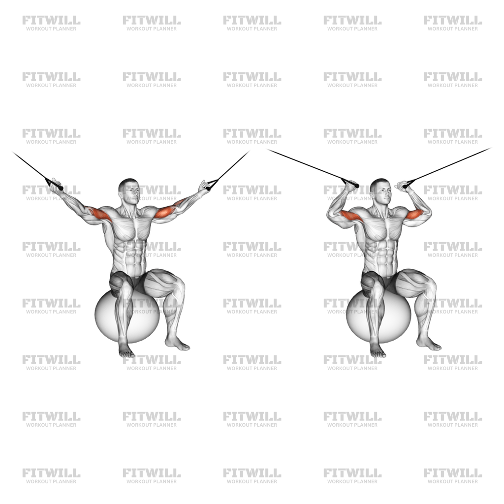 Cable Overhead Curl On Exercise Ball Exercise Guide Techniques Benefits How To Muscles