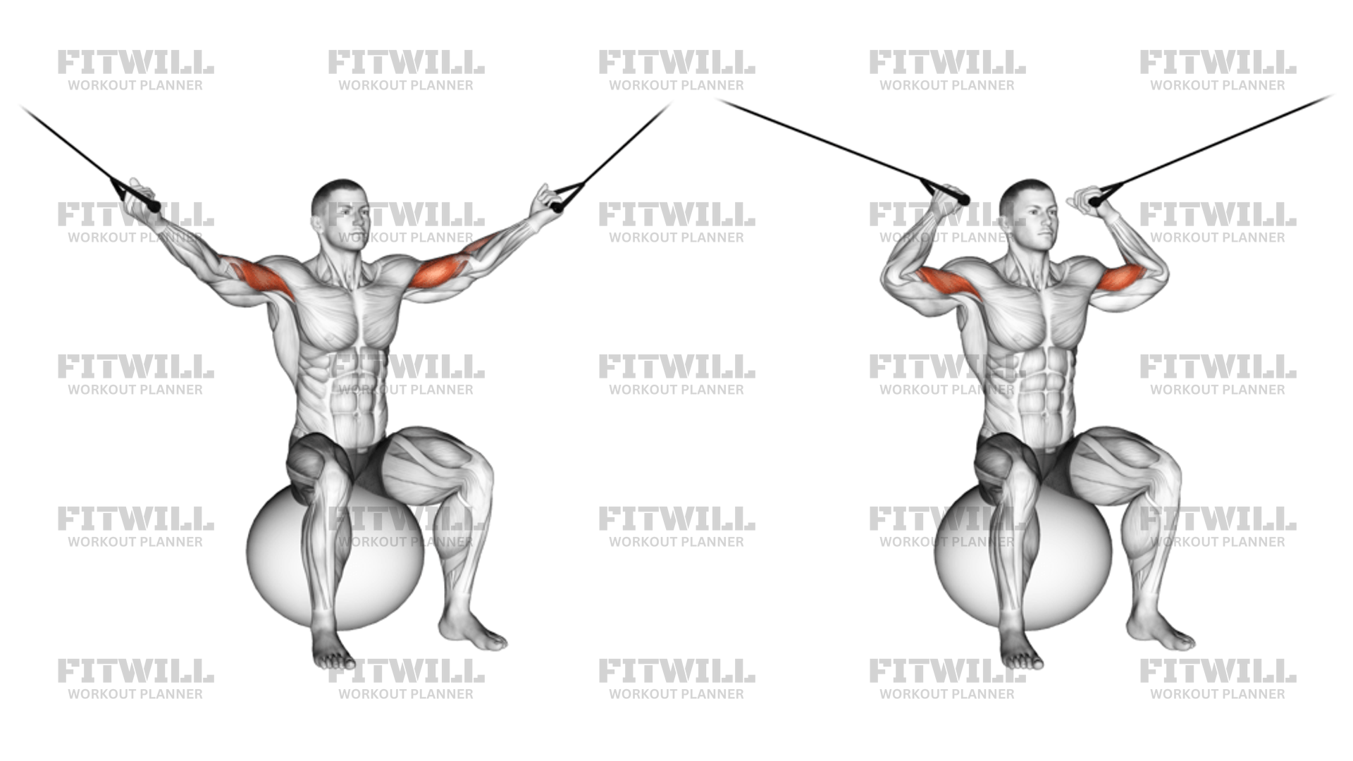Rosca Com Cabo Sobre Bola De Exercício: Guia de Exercícios, Técnicas ...