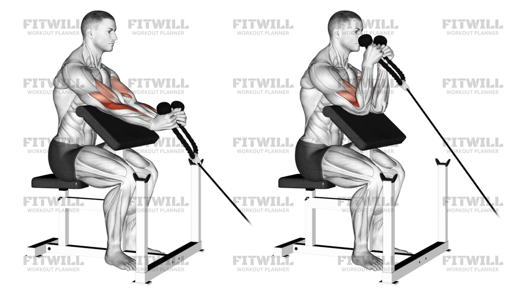 Cable Rope Hammer Preacher Curl: Exercise Guide, Video, Techniques ...