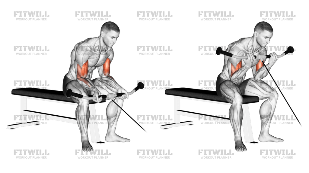 Cable Seated Curl: Exercise Guide, Techniques, Benefits, How to ...