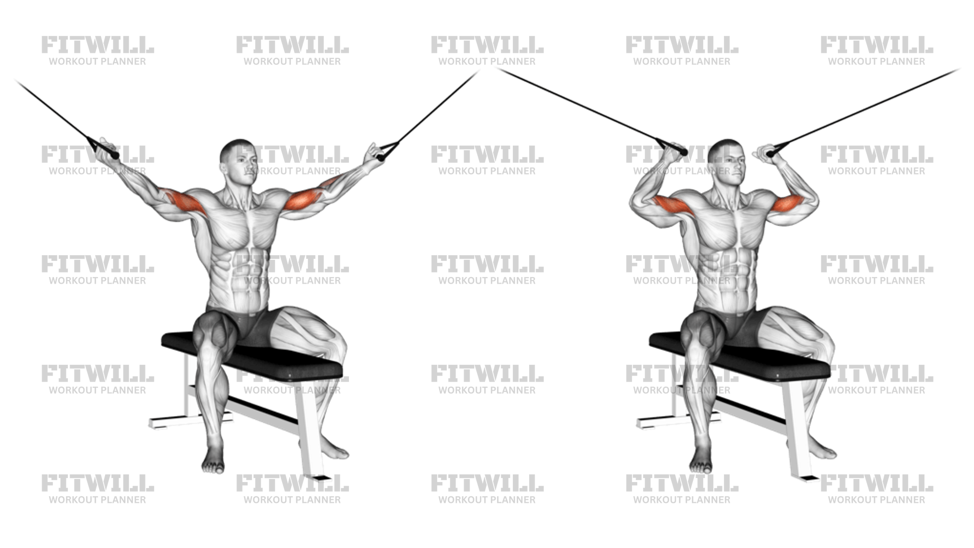 Cable Seated Overhead Curl: Exercise Guide, Video, Techniques, Benefits ...