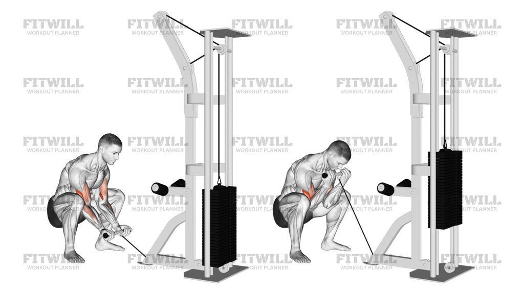 Cable Squatting Curl Exercise Guide Video Techniques Benefits How To Muscles Worked Tips