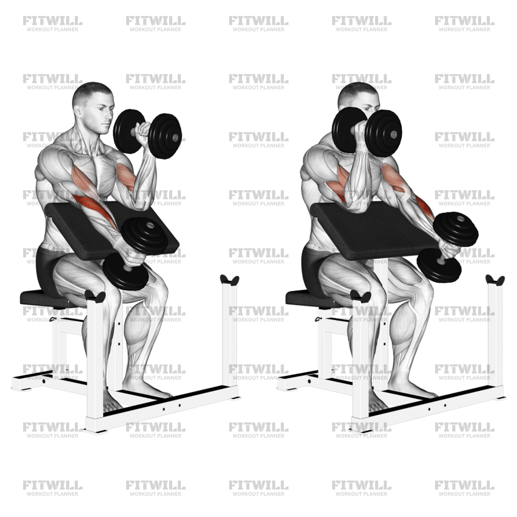 Dumbbell Alternate Hammer Preacher Curl: Exercise Guide, Techniques ...