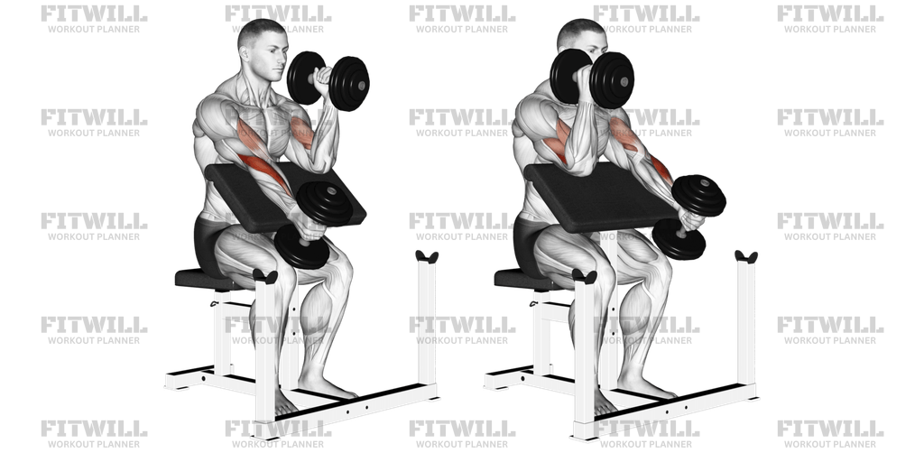 Dumbbell Alternate Hammer Preacher Curl: Guide, Techniques, Benefits ...