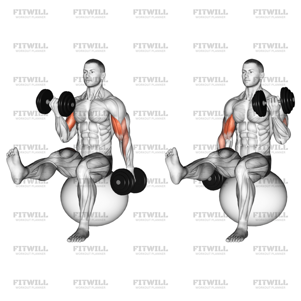 Dumbbell Alternating Bicep Curl With Leg Raised On Exercise Ball ...