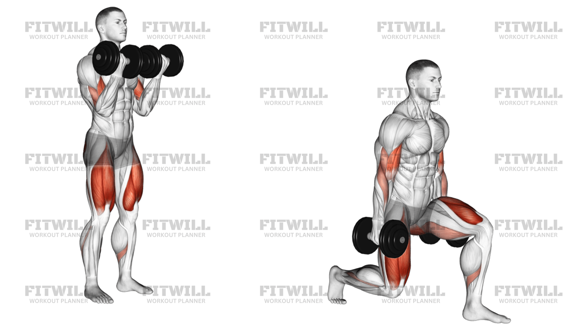 Dumbbell Bicep Curl Lunge With Bowling Motion: Exercise Guide ...