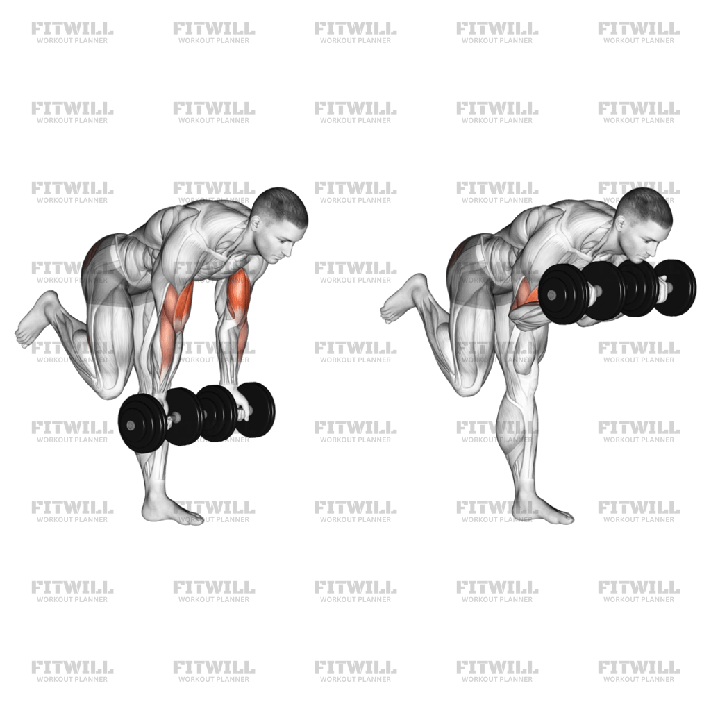 Dumbbell Bicep Curl With Stork Stance: Exercise Guide, Techniques ...