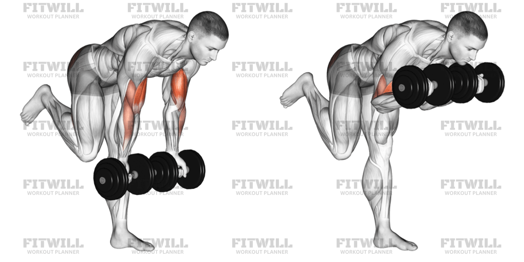 Dumbbell Bicep Curl With Stork Stance: Exercise Guide, Techniques ...