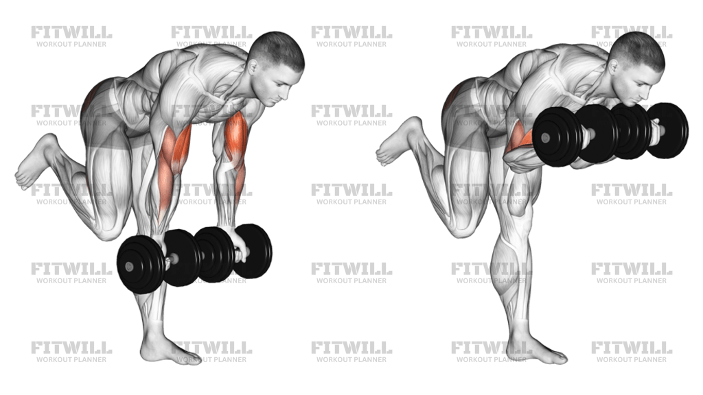 Dumbbell Bicep Curl With Stork Stance: Exercise Guide, Techniques ...
