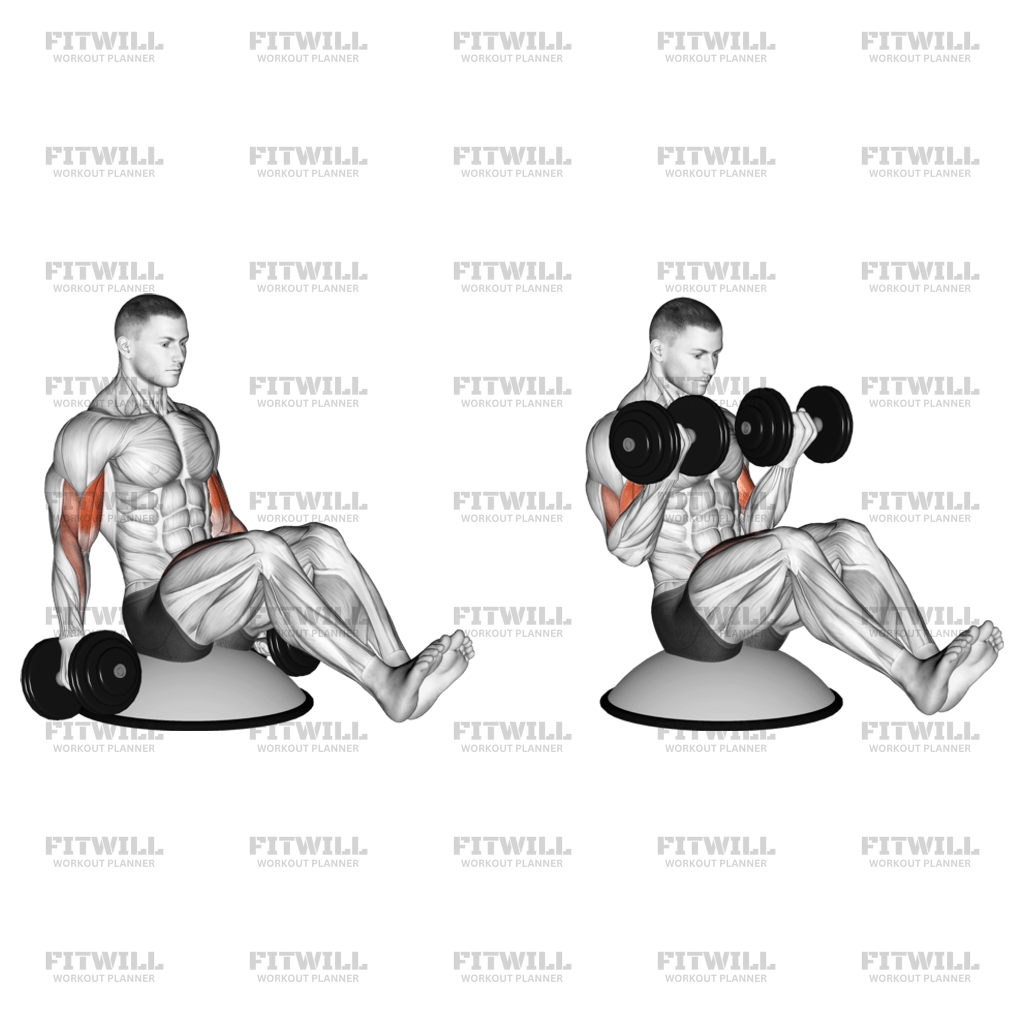 Dumbbell Biceps Curl V Sit On Bosu Ball: Exercise Guide, Techniques ...