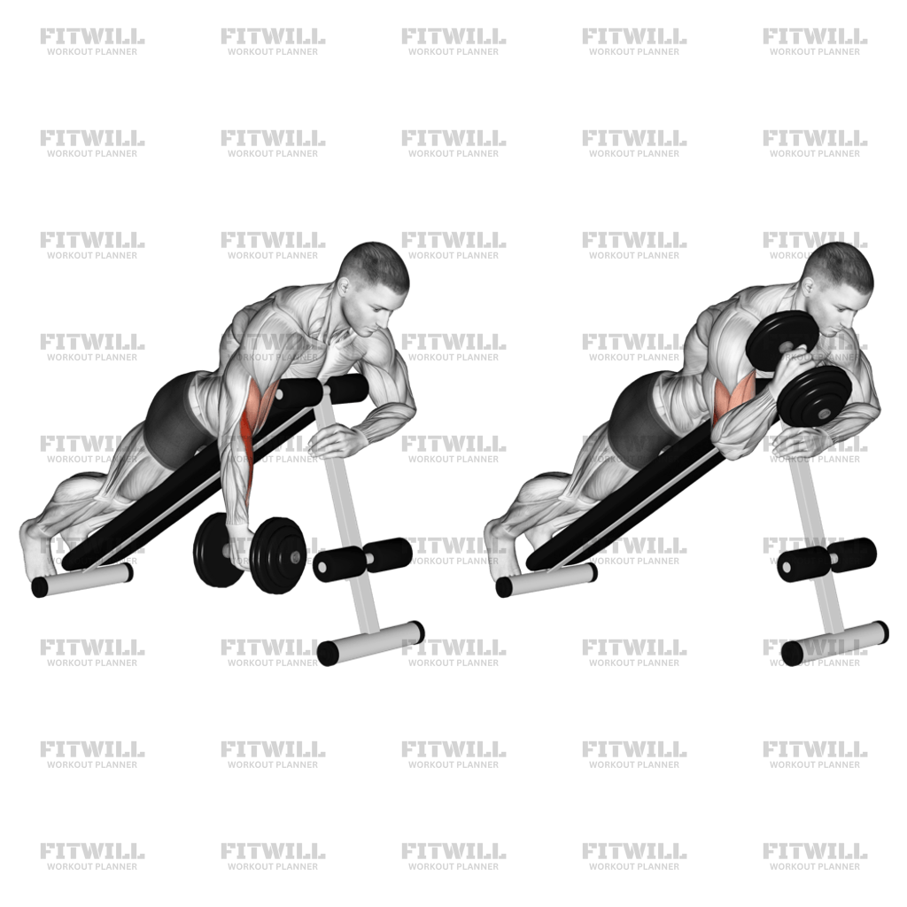 Dumbbell One Arm Prone Hammer Curl: Exercise Guide, Techniques ...