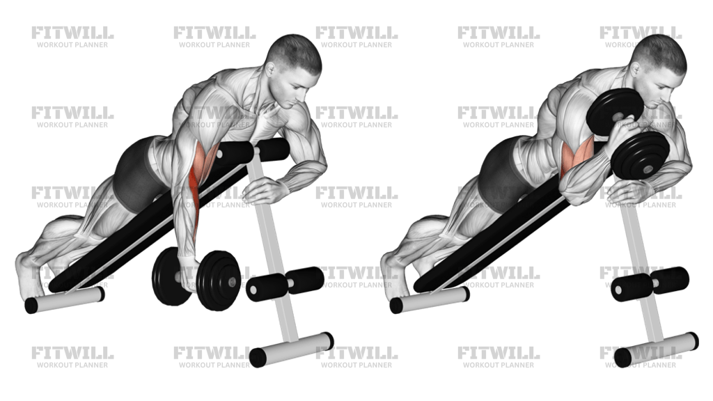 Dumbbell One-Arm Prone Hammer Curl: Exercise Guide, Techniques ...