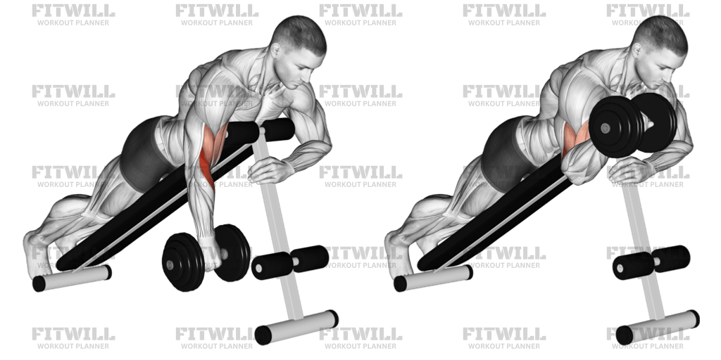 Dumbbell One Arm Reverse Spider Curl: Exercise Guide, Techniques ...