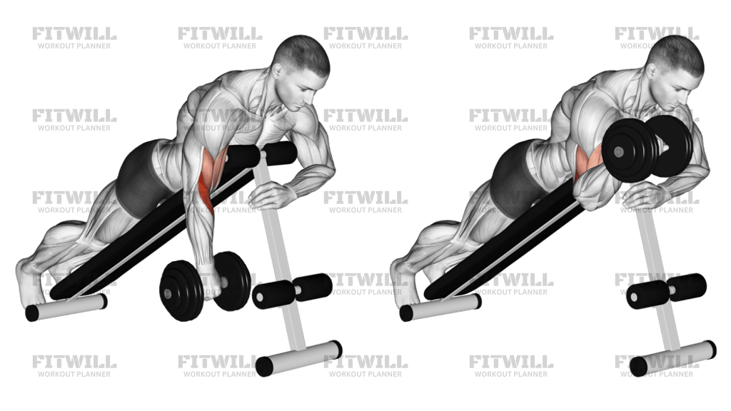 Dumbbell One Arm Reverse Spider Curl: Exercise Guide, Techniques ...