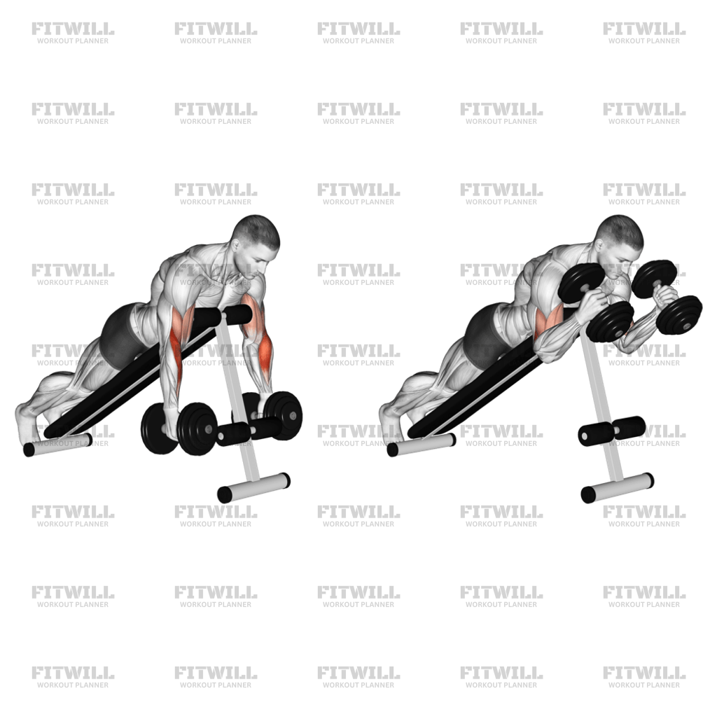 Dumbbell Prone Incline Hammer Curl: Exercise Guide, Video, Techniques ...