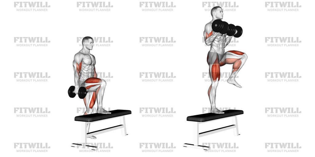 Dumbbell Step Up Single Leg Balance With Bicep Curl: Exercise Guide ...