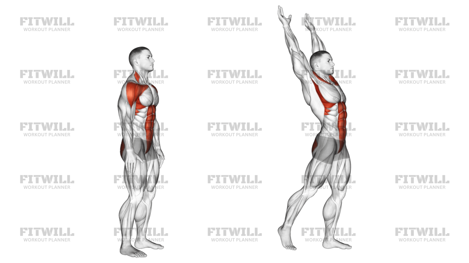 Posterior Step To Overhead Reach: Exercise Guide, Techniques, Benefits ...