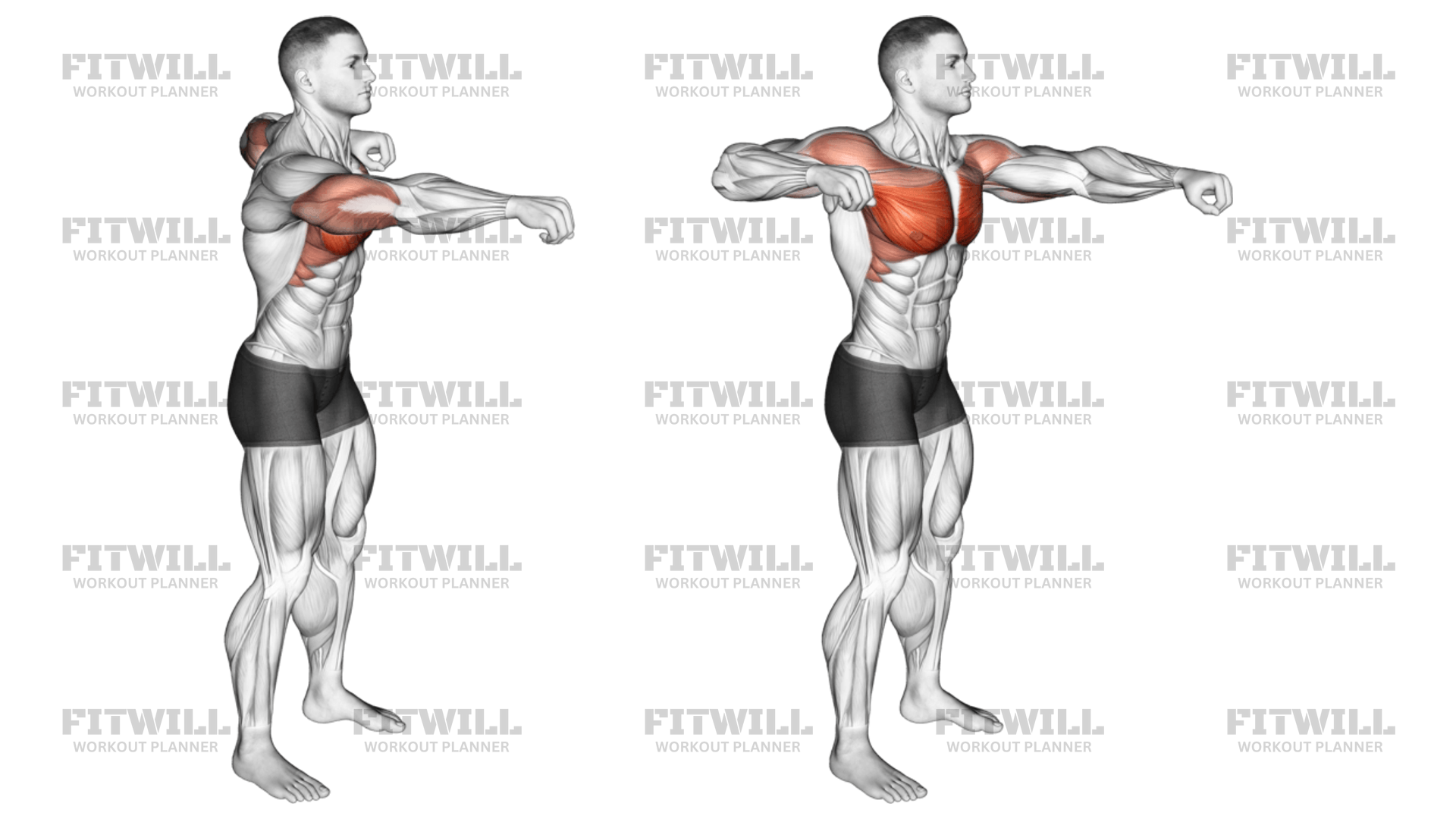 Push And Pull Bodyweight: Exercise Guide, Techniques, Benefits, How to ...