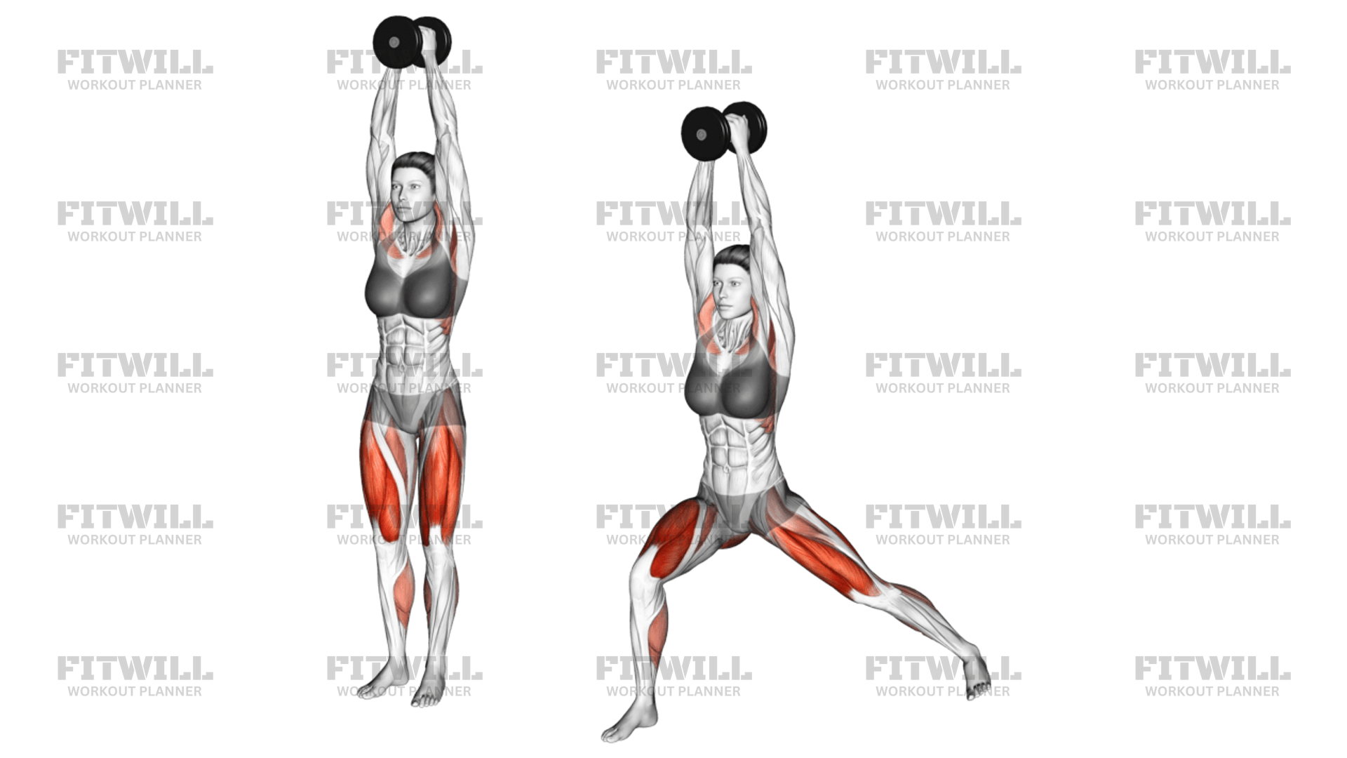 Dumbbell Overhead Side Lunge: Exercise Guide, Techniques, Benefits, How ...