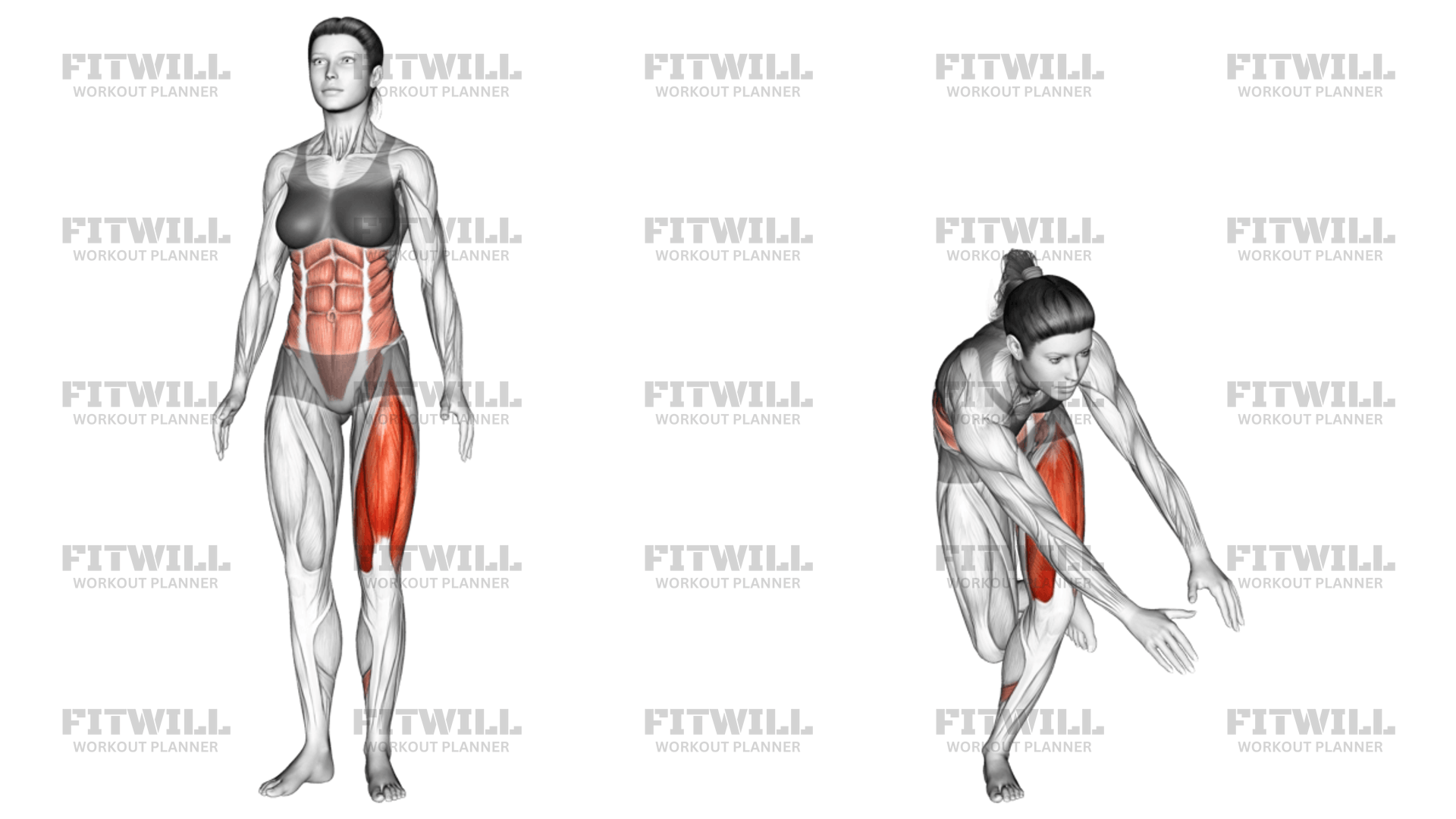 How to do Single Leg Transverse Bend: Techniques, Benefits, Tips ...