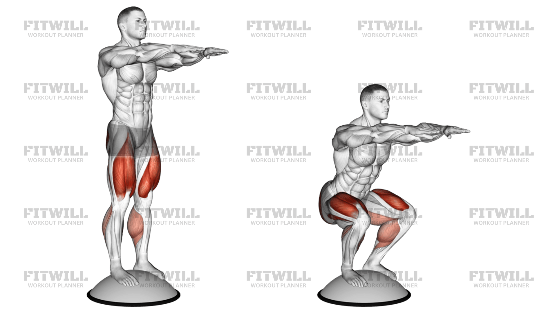 Bosu ball squats store