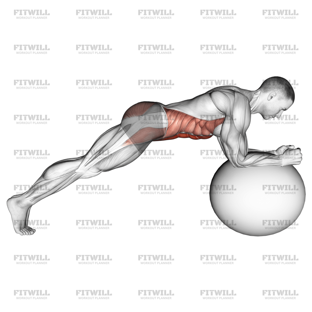 Prancha Frontal Com Bola De Estabilidade: Guia de Exercícios, Vídeo ...