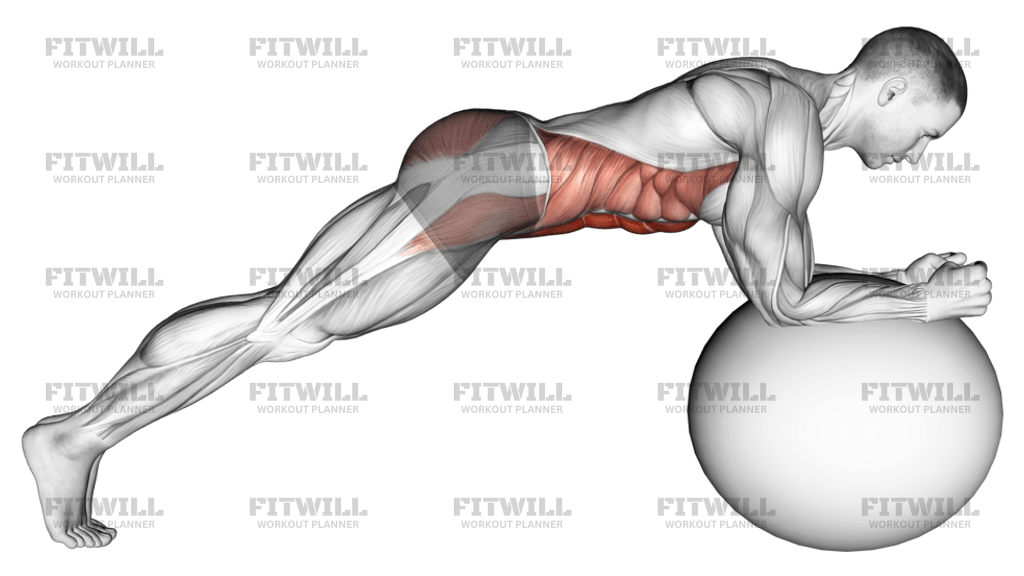 Plancha Frontal Con Pelota De Estabilidad: Video de Ejercicio | Fitwill