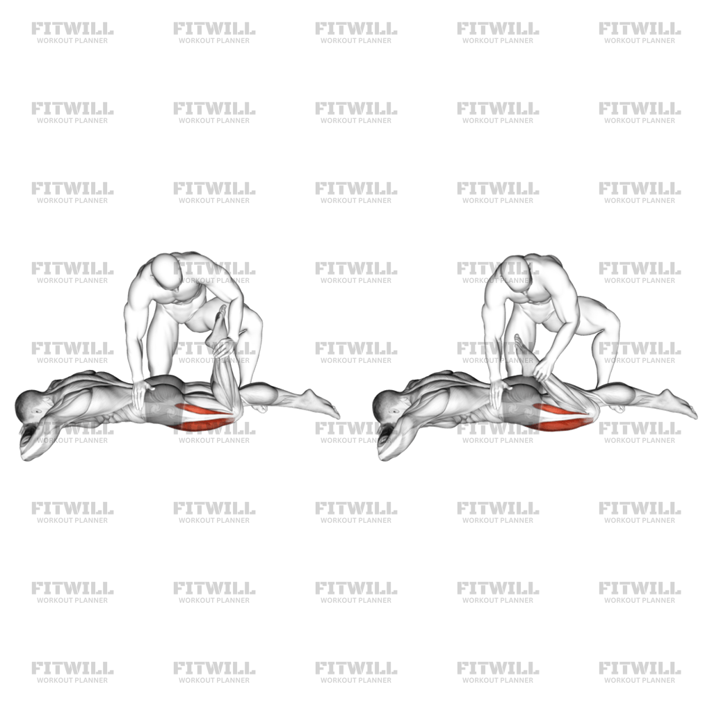 Assisted Prone Lying Quadriceps Stretch: Exercise Guide, Techniques ...