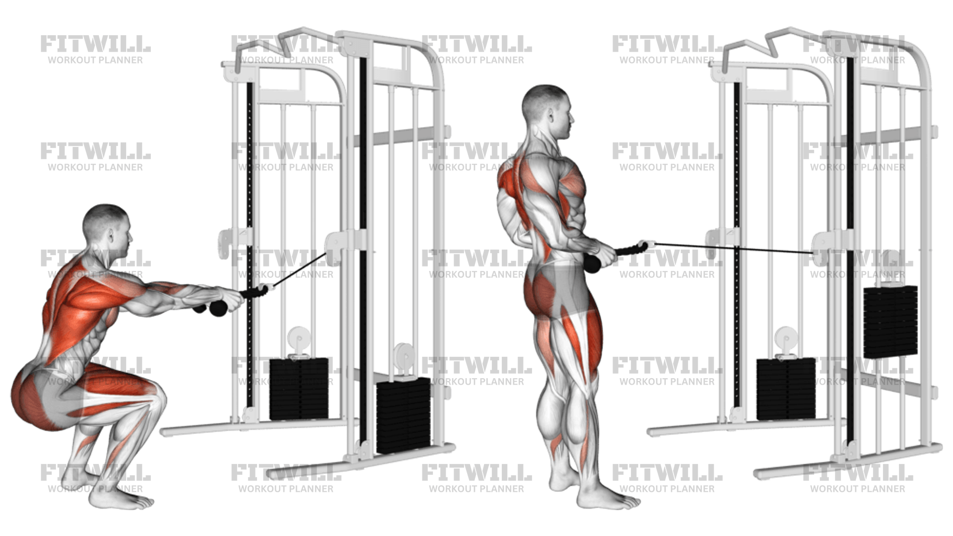 Cable Squat Row (with Rope Attachment): Exercise Guide, Video ...