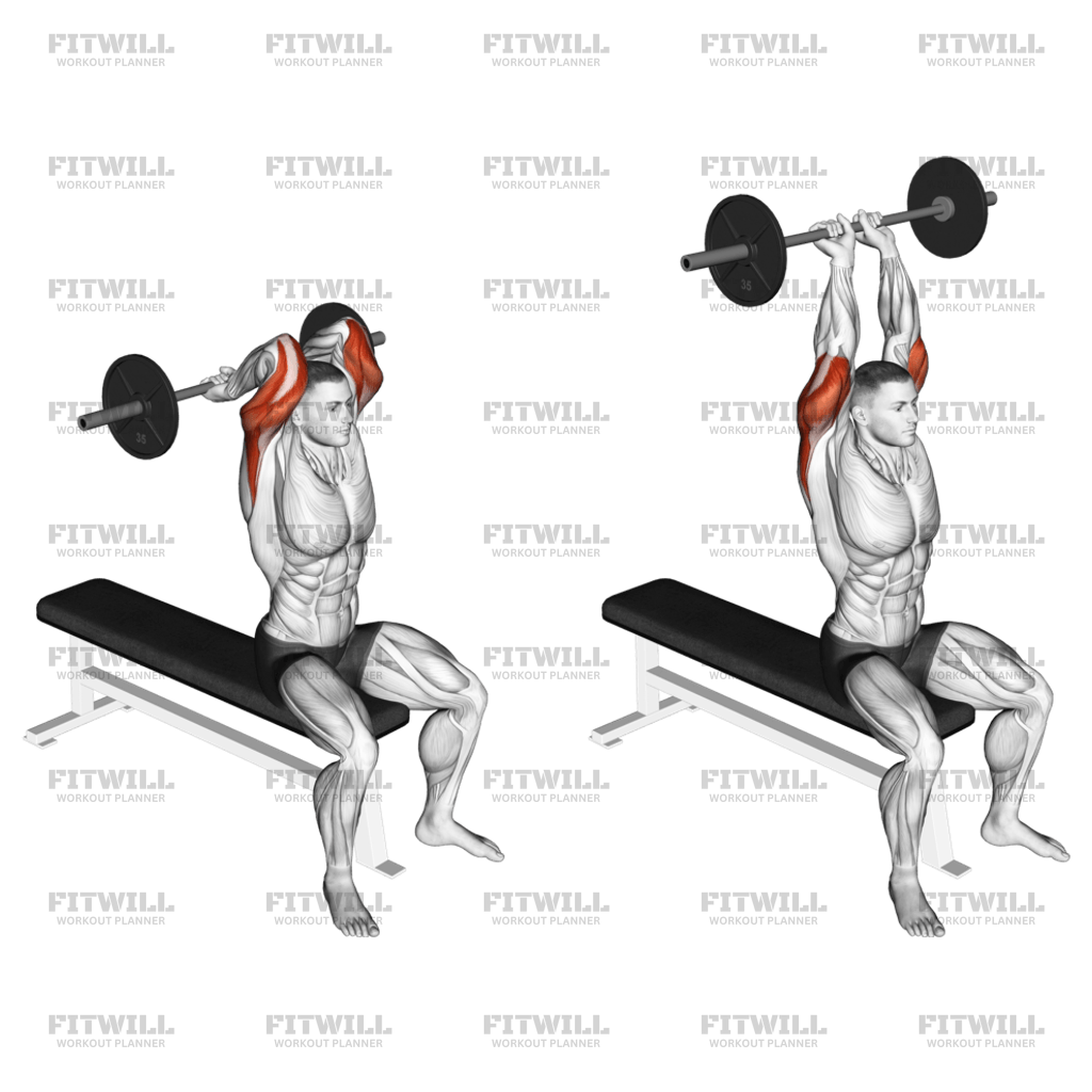 Extensão De Tríceps Sentado Com Pegada Fechada Atrás Da Cabeça Com ...