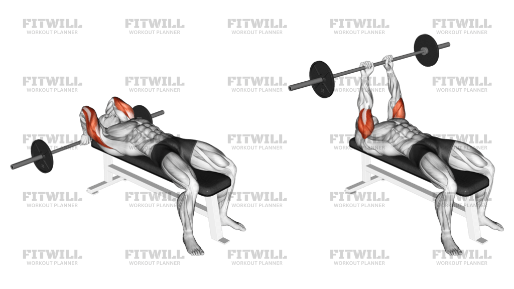 Barbell Lying Triceps Extension: Exercise Guide, Techniques, Benefits ...