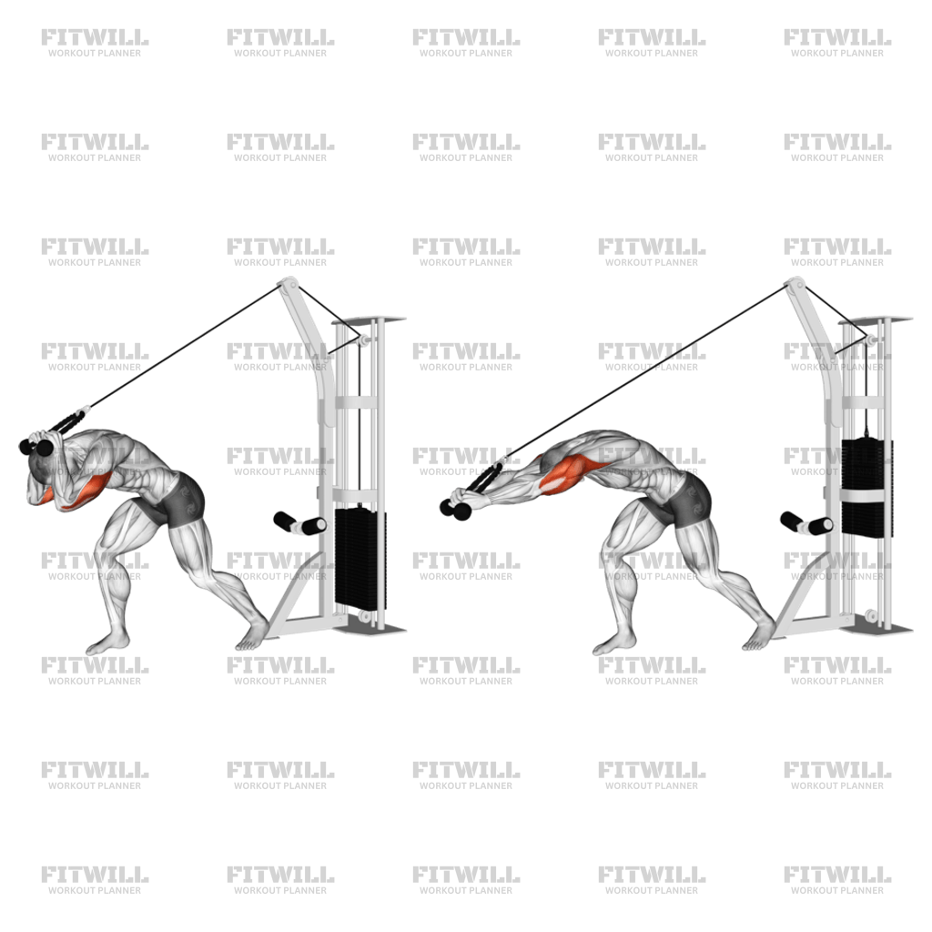 Cable Rope High Pulley Overhead Tricep Extension: Exercise Guide, Video ...