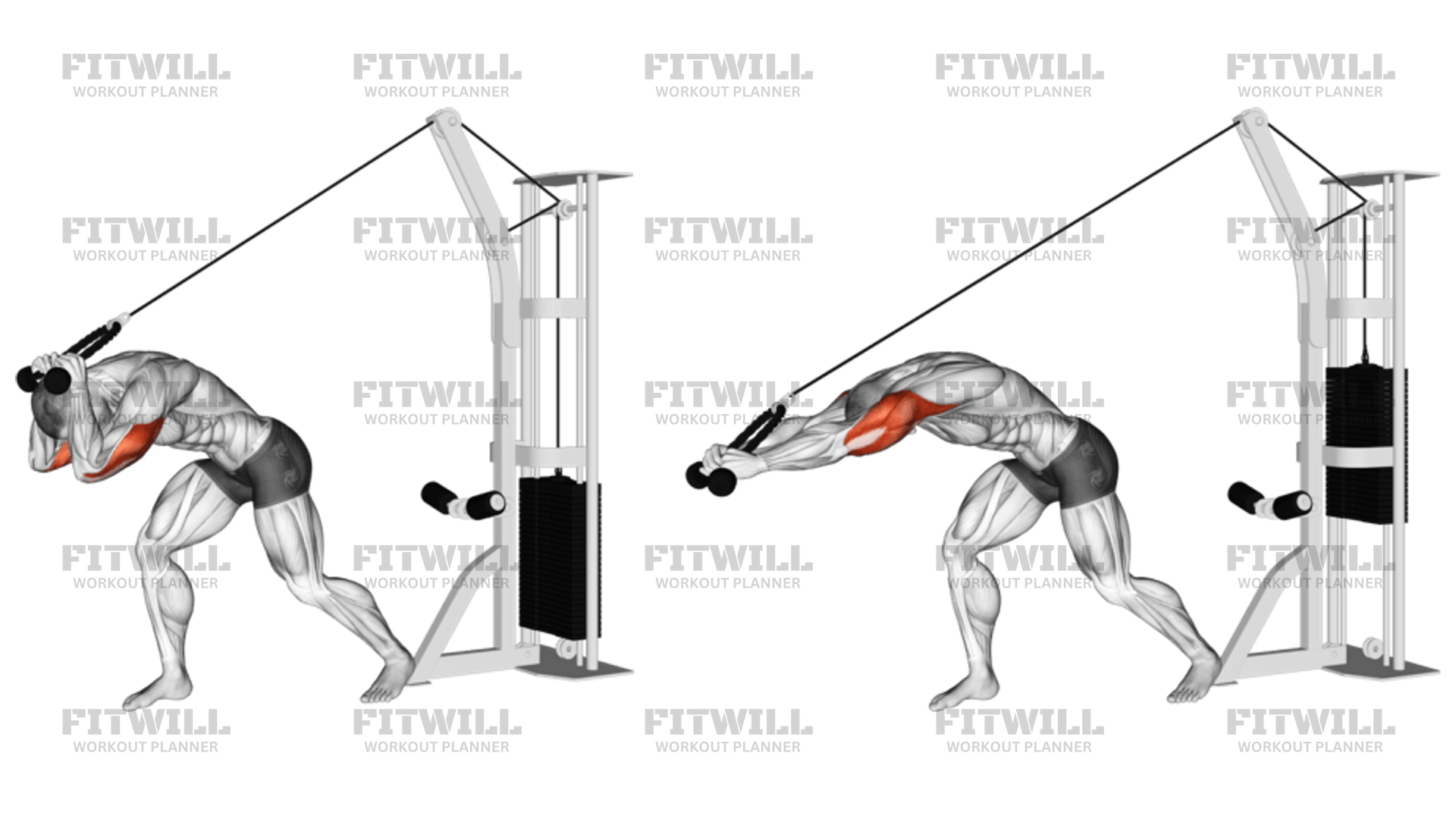 Cable Rope High Pulley Overhead Tricep Extension: Exercise Guide, Video ...