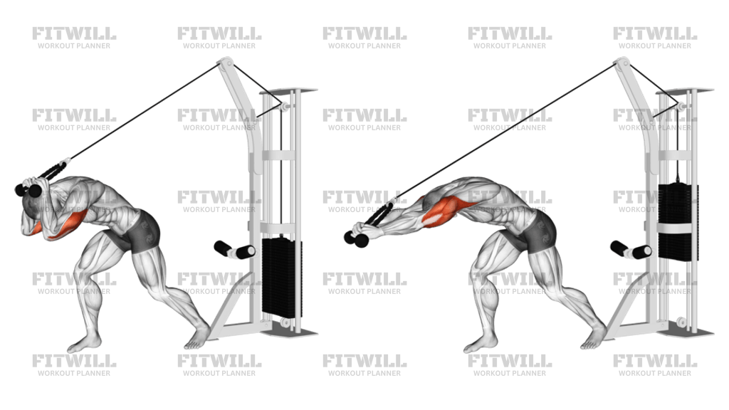 Cable Rope High Pulley Overhead Tricep Extension: Guide, Techniques ...