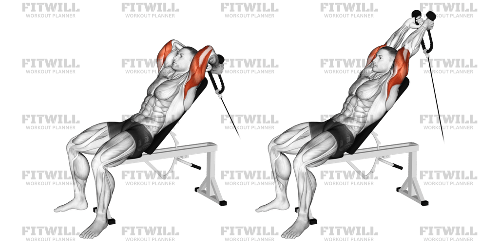 Cable Rope Incline Tricep Extension: Exercise Guide, Video, Techniques ...