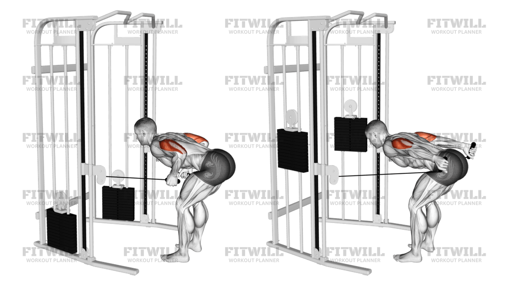 How to do Cable Two Arm Tricep Kickback: Techniques, Benefits, Tips ...