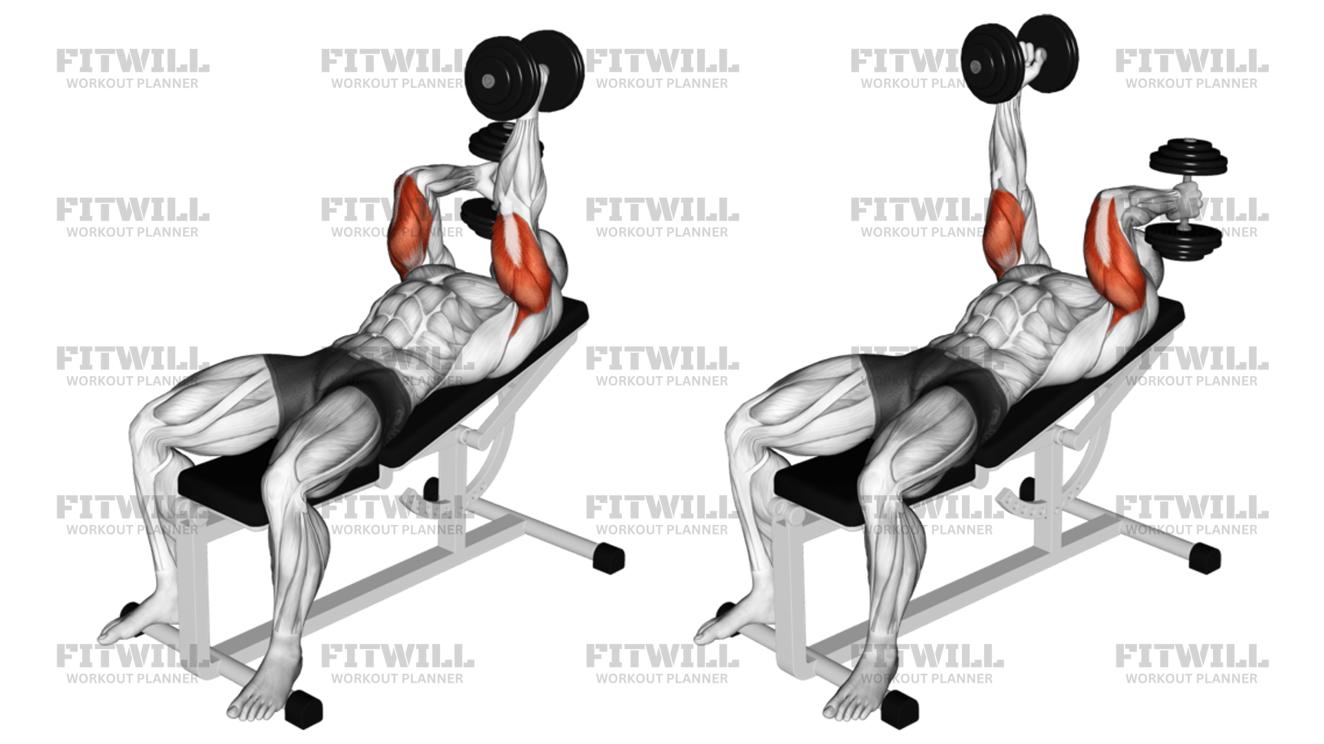 Dumbbell Lying Alternate Extension: Exercise Guide, Video, Techniques ...