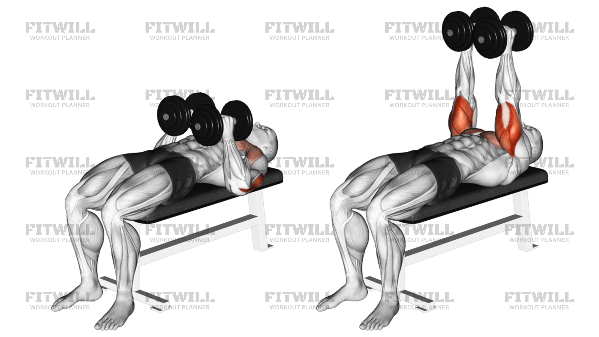 Press De Agarre Cerrado Con Mancuernas: Guía de Ejercicios, Video ...