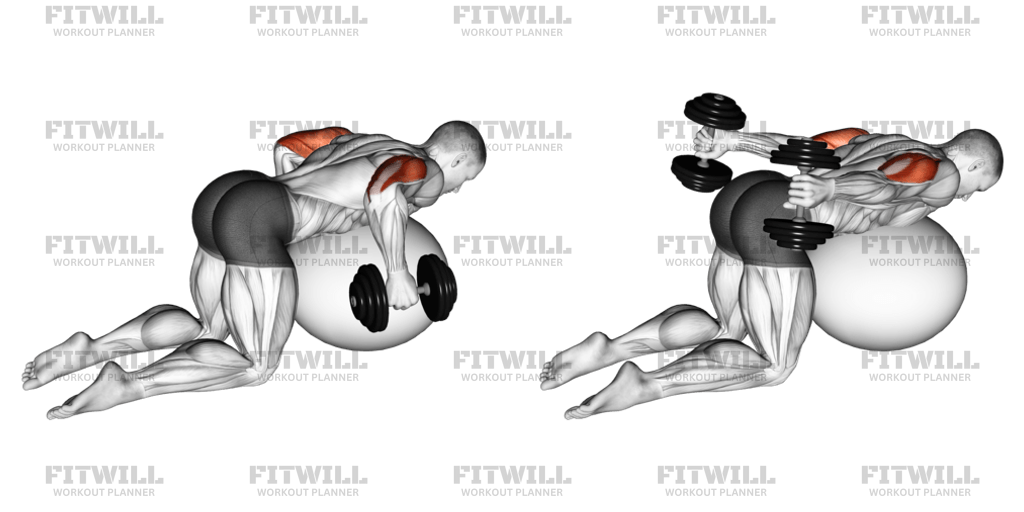 Dumbbell Kickbacks On Exercise Ball: Exercise Guide, Techniques ...