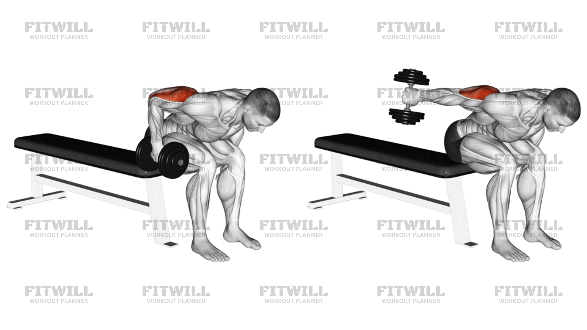 Extensión De Tríceps Sentado Inclinado Con Mancuerna: Guía de ...