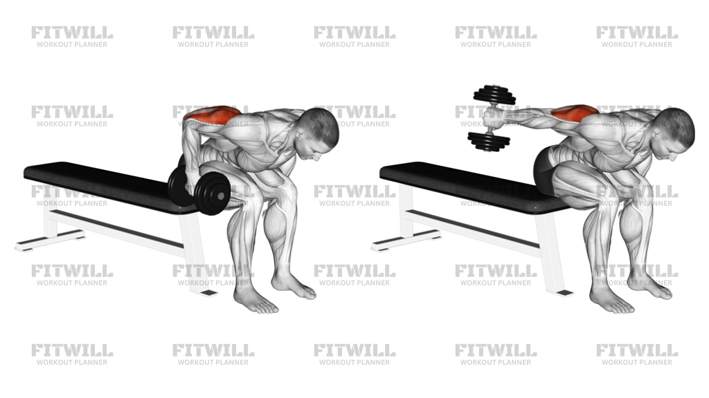 Extensão De Tríceps Com Halteres Sentado Inclinado Para Frente: Guia de ...