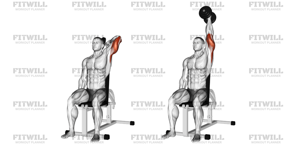 Dumbbell Seated Reverse-Grip One-Arm Overhead Tricep Extension ...