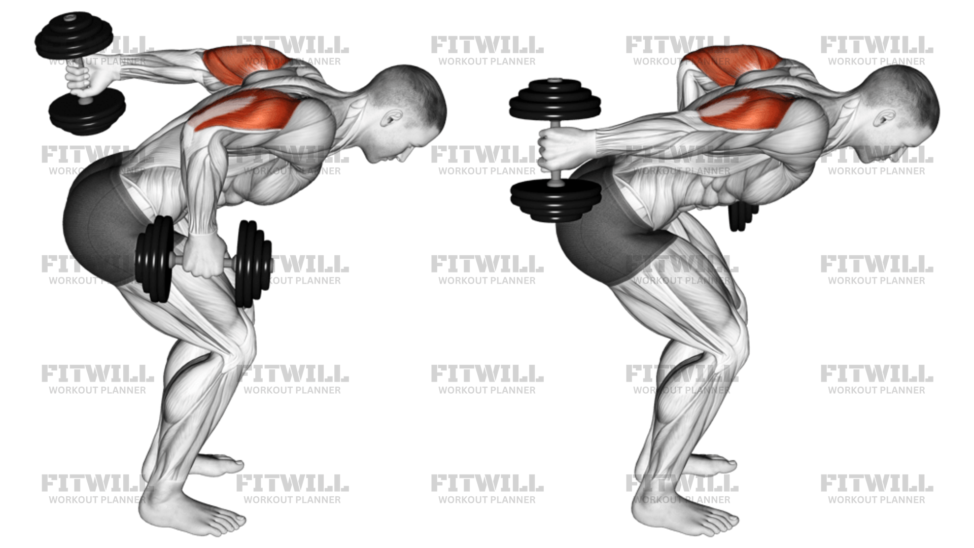 Dumbbell Standing Alternating Tricep Kickback: Exercise Guide ...