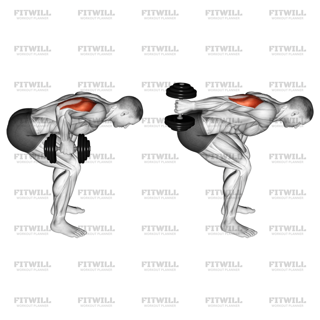 Dumbbell Standing Bent Over One Arm Triceps Extension: Exercise Guide ...