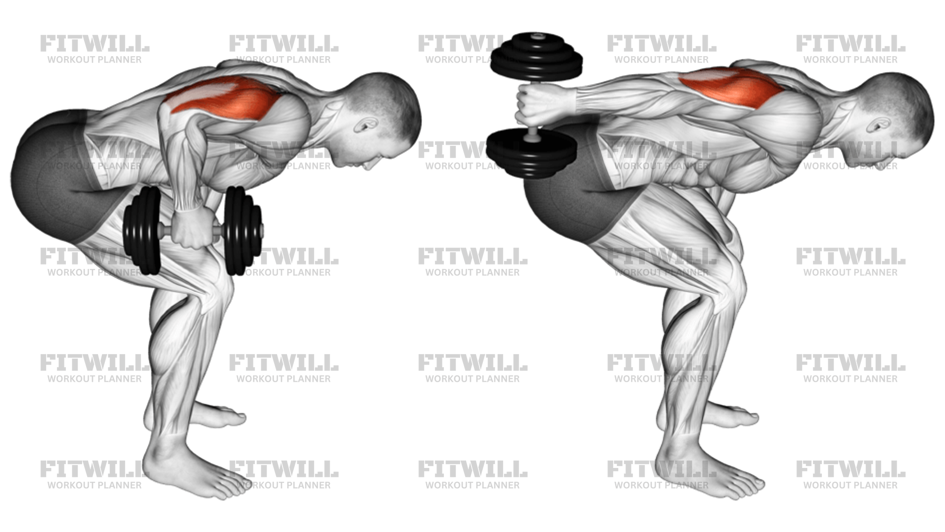 Dumbbell Standing Bent Over One Arm Triceps Extension Exercise Guide Techniques Benefits How