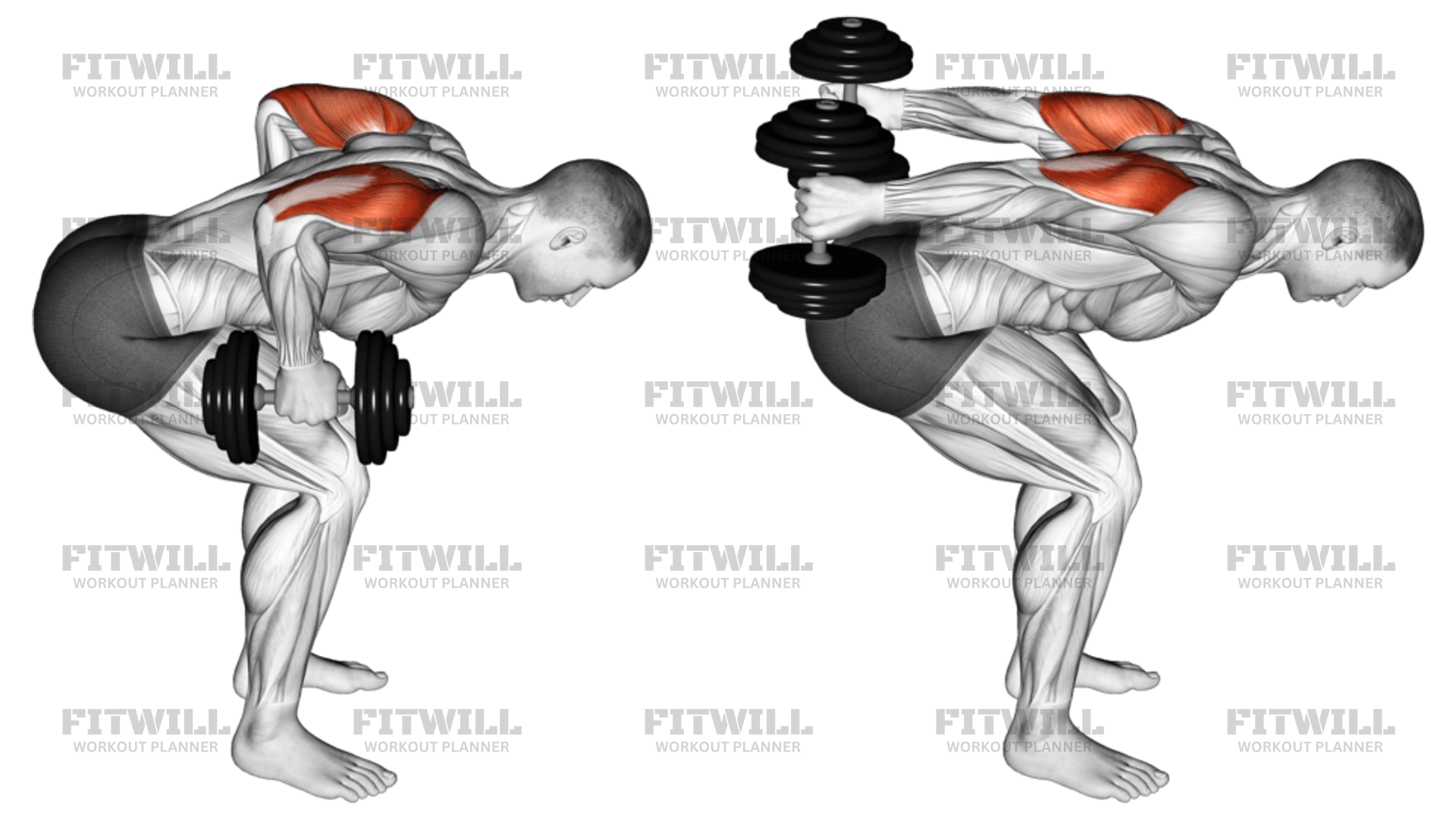 Dumbbell Standing Bent Over Two Arm Triceps Extension: Exercise Guide ...
