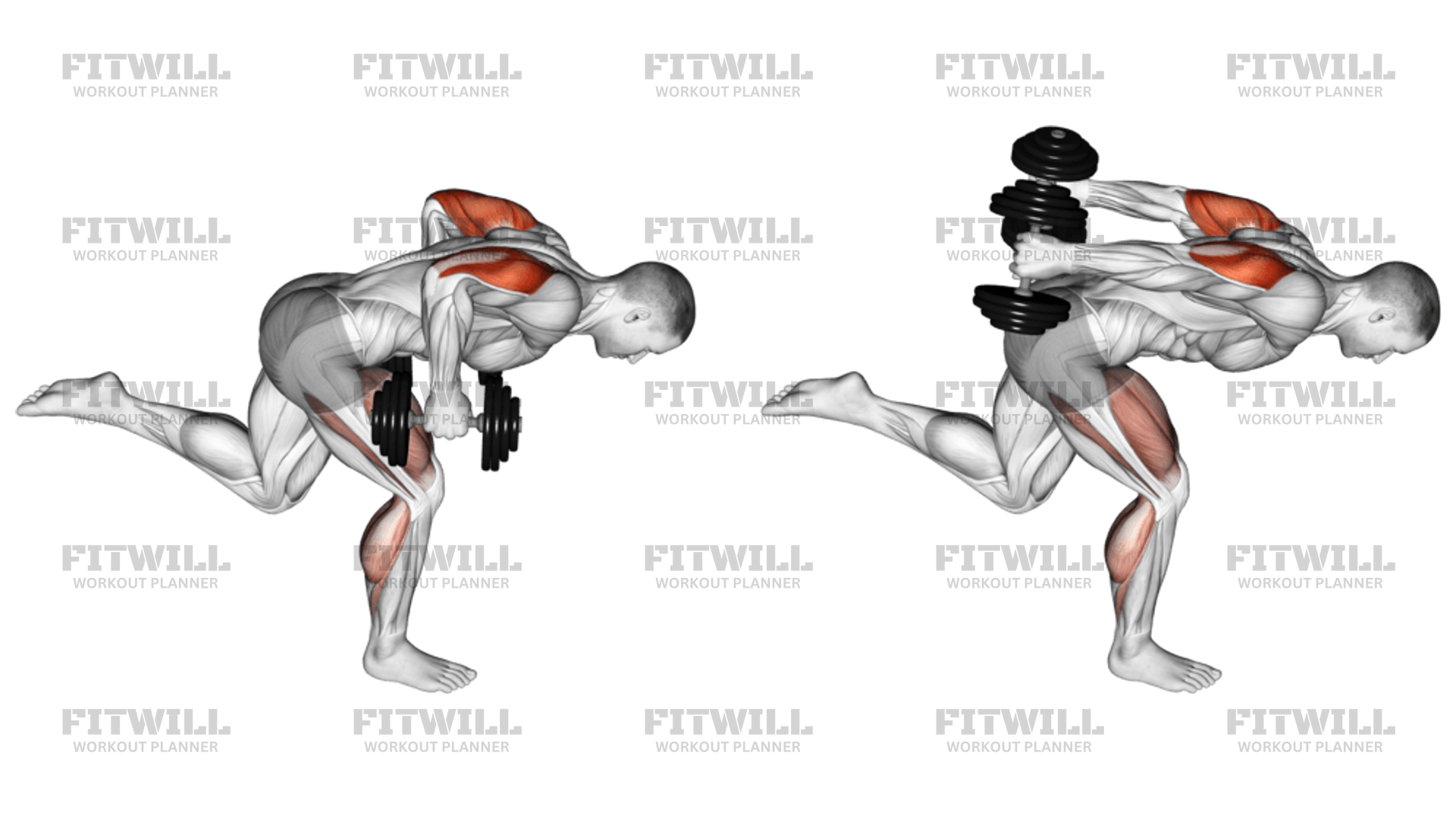 Dumbbell Tricep Kickback With Stork Stance: Exercise Guide, Techniques ...