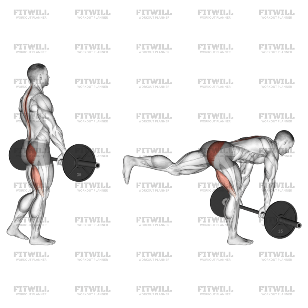 Barbell Single Leg Deadlift: Exercise Guide, Video, Techniques ...
